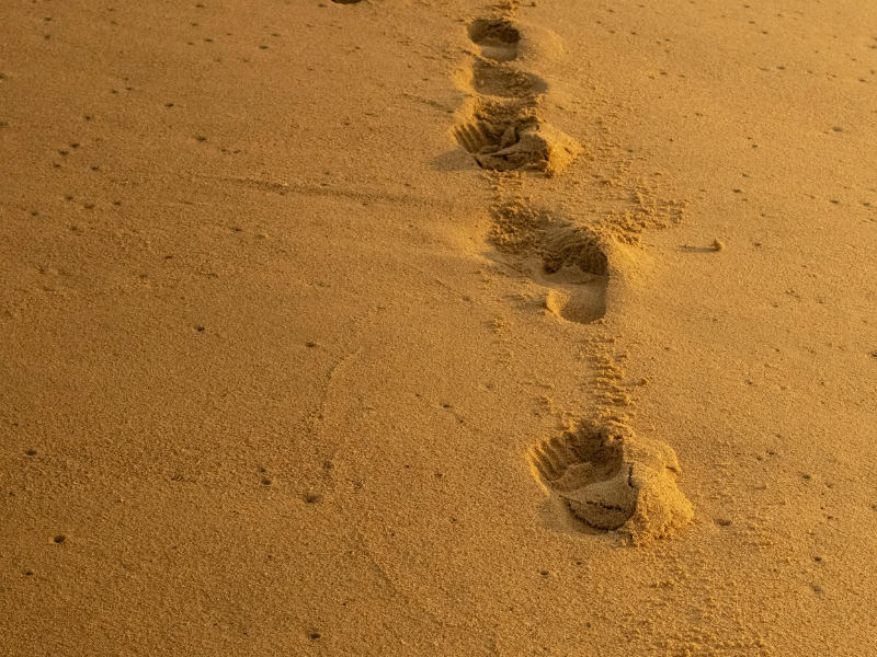 Building Relational Practice into Systems: Reflections from Queensland ...